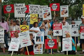 欧路词典|英汉-汉英词典 protest是什么意思_protest的中文解释和发音_protest的翻译_protest怎么读