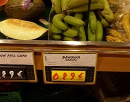 德语助手|德汉-汉德词典 kosten是什么意思_kosten的中文解释和发音_kosten的翻译_kosten怎么读