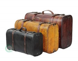 欧路词典|英汉-汉英词典 suitcase是什么意思_suitcase的中文解释和发音_suitcase的翻译_suitcase怎么读